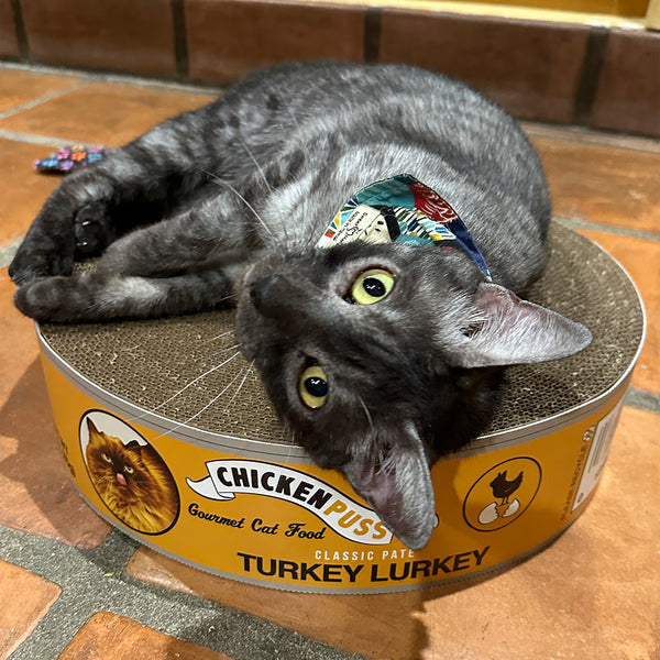 The Endless Buffet Scratch Pad – ZenByCat