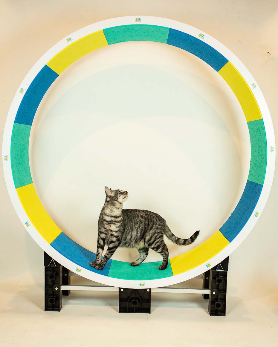 Ferris Cat Wheel by ZiggyDoo – ZenByCat