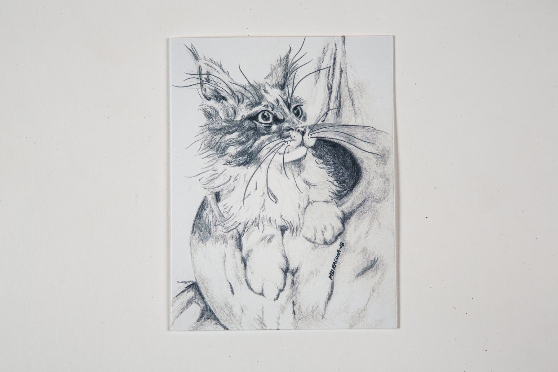 Ember's FIP Angels Note Cards Set B – ZenByCat