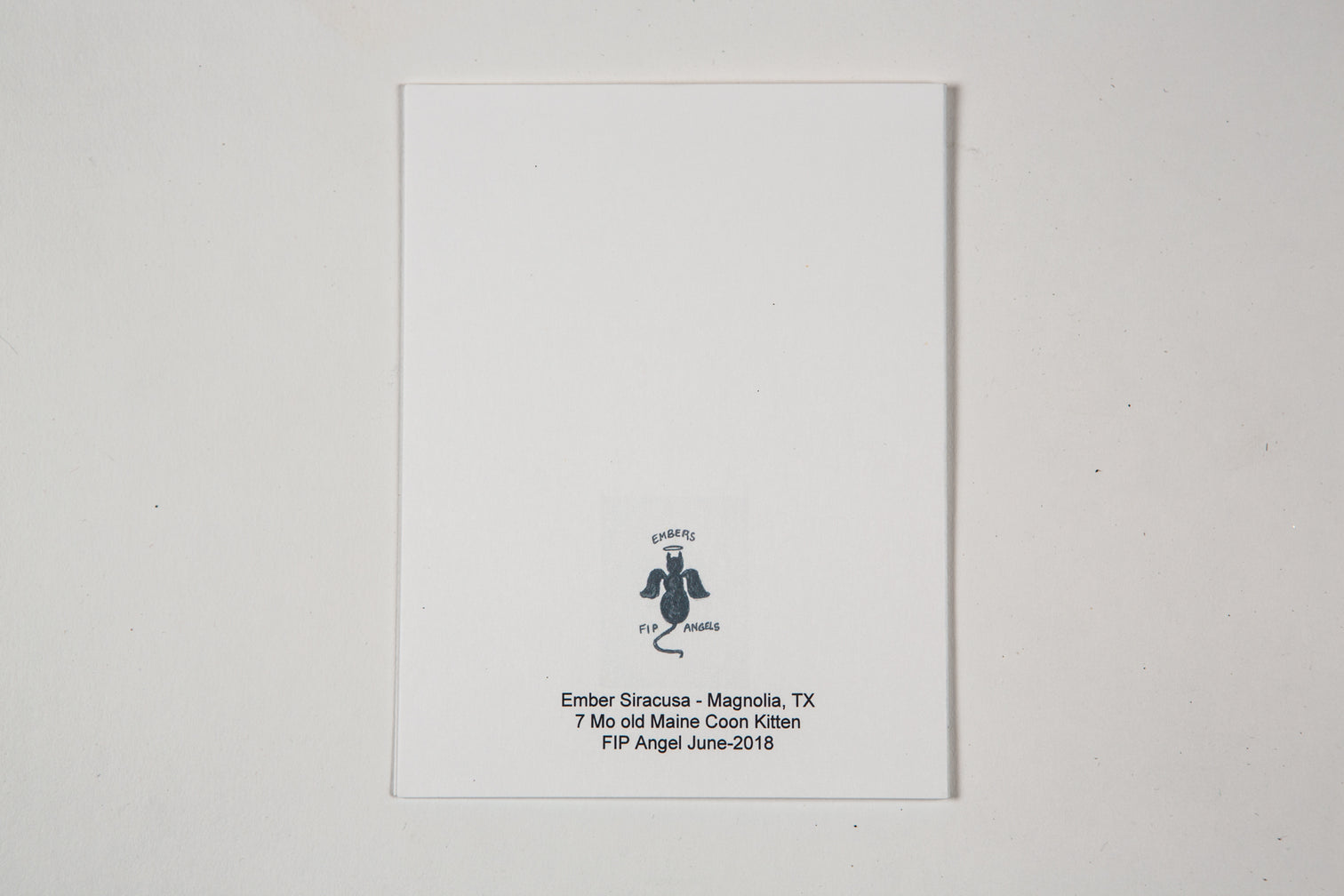 Ember's FIP Angels Note Cards Set B – ZenByCat