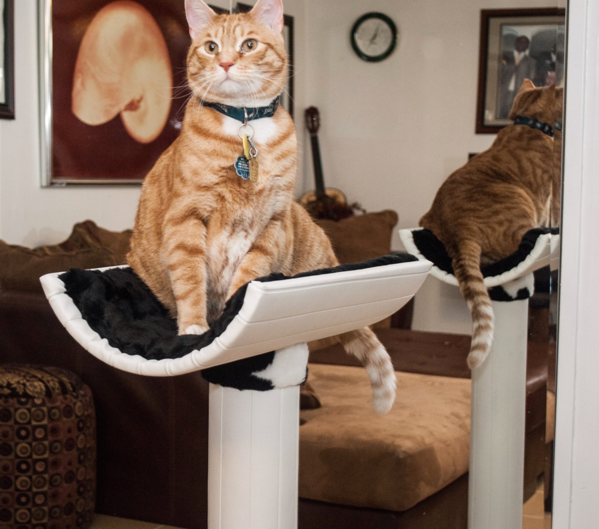 SPHP-2 LUXURY CAT PERCH – ZenByCat
