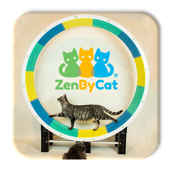 Ferris Cat Wheel by ZiggyDoo – ZenByCat